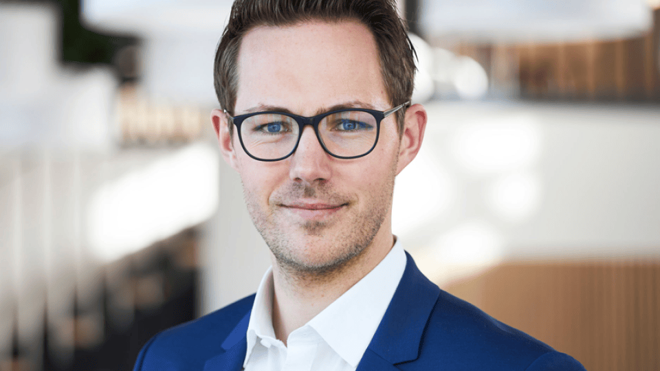 Quo Vadis BESS? Potential and use cases for future battery storage projects